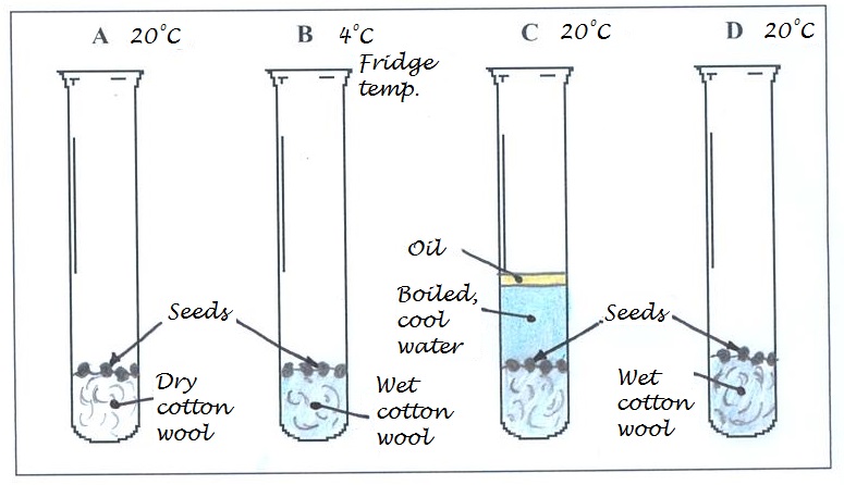 Junior Cert. Science (Higher) 2014: Q3 (b)