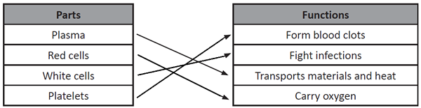 Junior Cert. Science EDCO Sample B: Q5