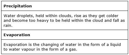 Junior Cert. Science EDCO Sample C: Q7