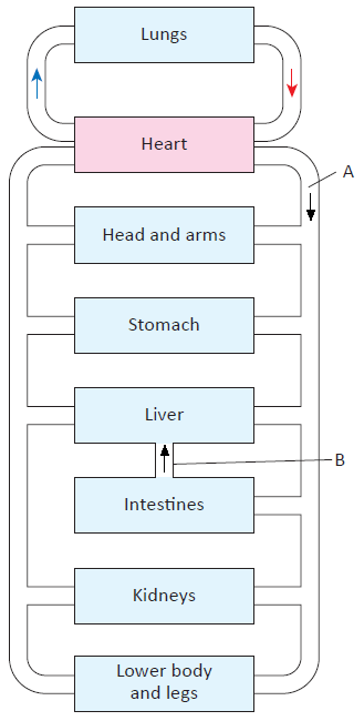 Junior Cert. Science EDCO Sample C: Q11